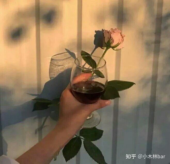 红酒丨文案 知乎