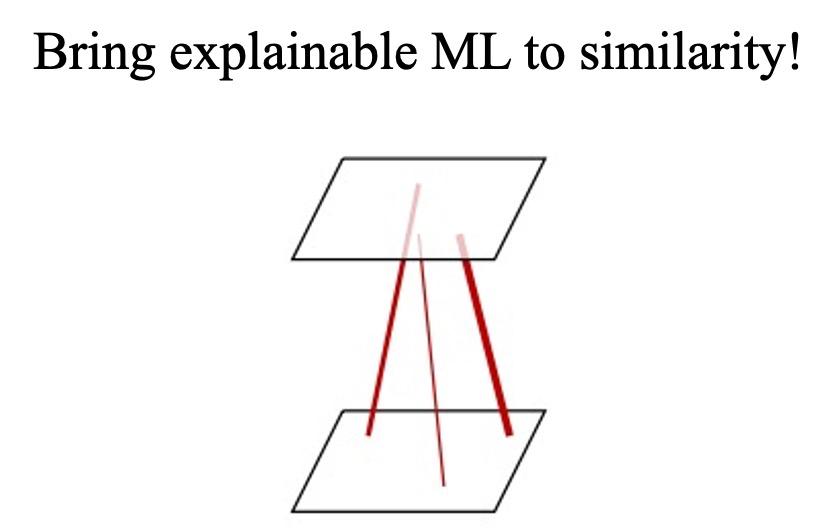 Building and Interpreting Deep Similarity Models - 知乎