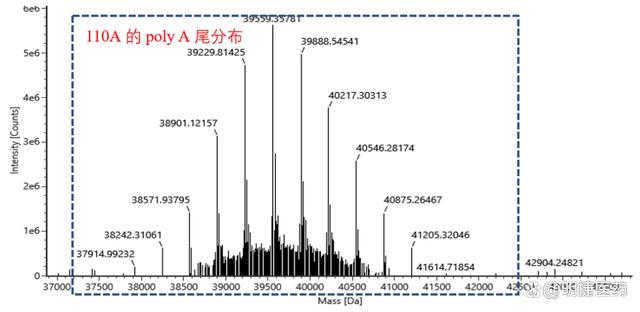 mRNA poly A尾检测分析 - 知乎