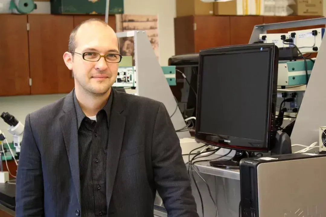 大脑遗忘机制相关研究 - 知乎