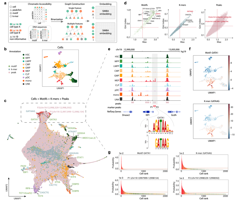 bioRxiv | SIMBA:基于图嵌入的单细胞特征提取模型 - 知乎