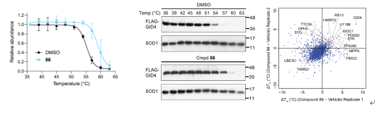 DELopen文献解读| CTLH E3 ligase亚基GID4小分子配体发现之旅 - 知乎