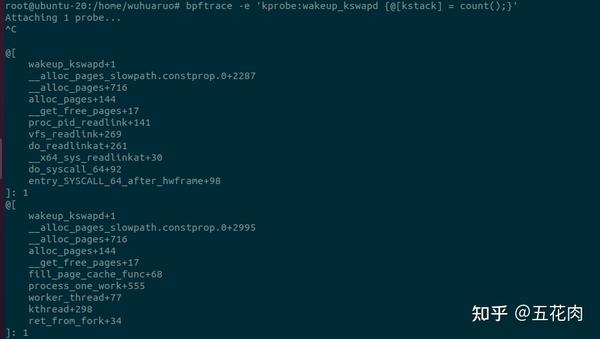 系统性能可观测性（一）：bpftrace - 知乎