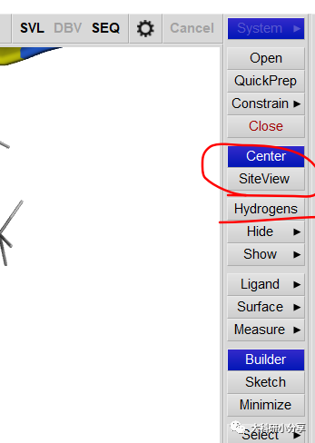 使用MOE构建基于受体的药效团特征并执行化合物筛选 - 知乎
