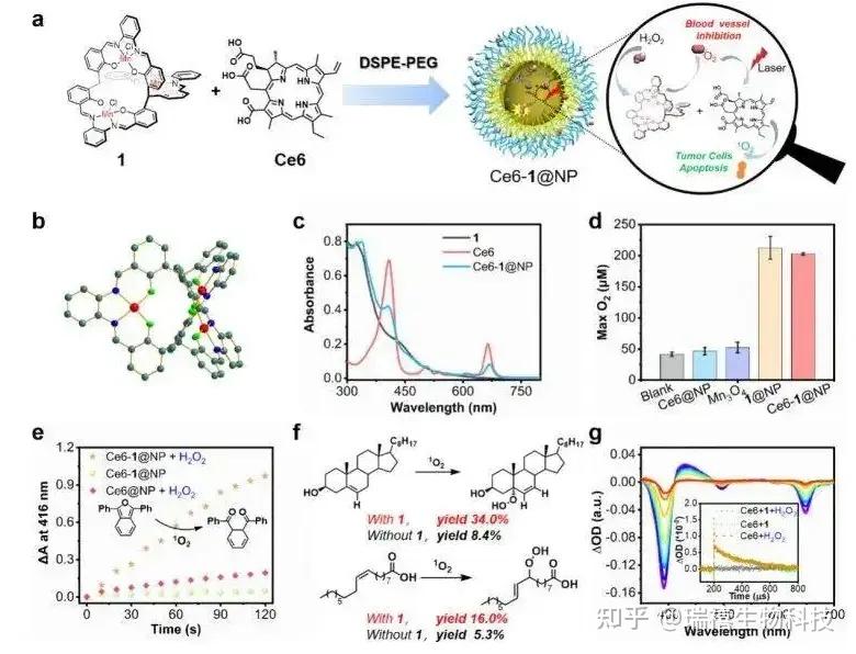 光克洛HPPH偶联多肽/多糖/蛋白/聚合物/化合物/药物/纳米磁性纳米颗粒的研究 - 知乎