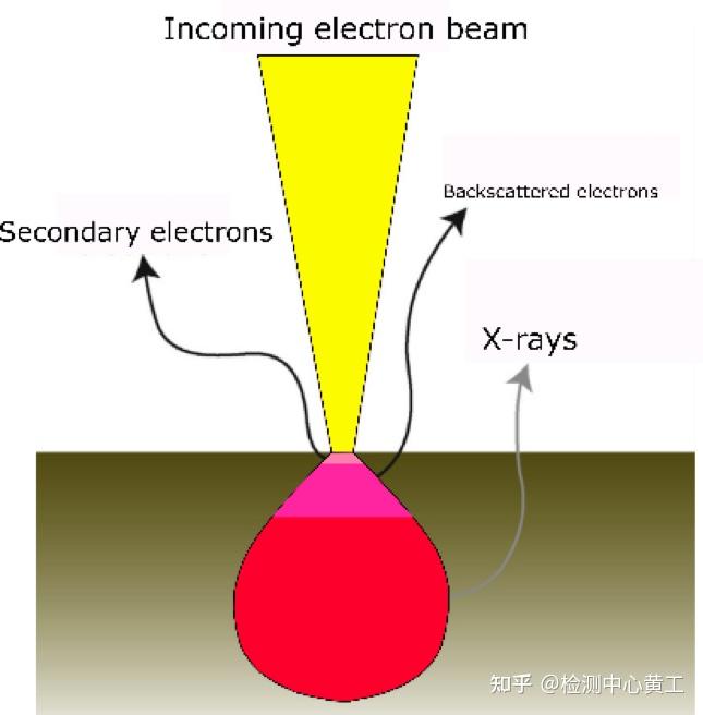 SEM系列专题｜扫描电子显微镜SEM与EDX 能谱分析 - 知乎
