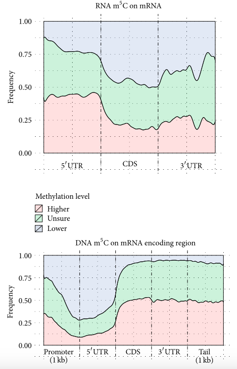 RNAseq reads 分别在3‘UTR，CDS以及5’UTR区域的分布plotprofile - 知乎