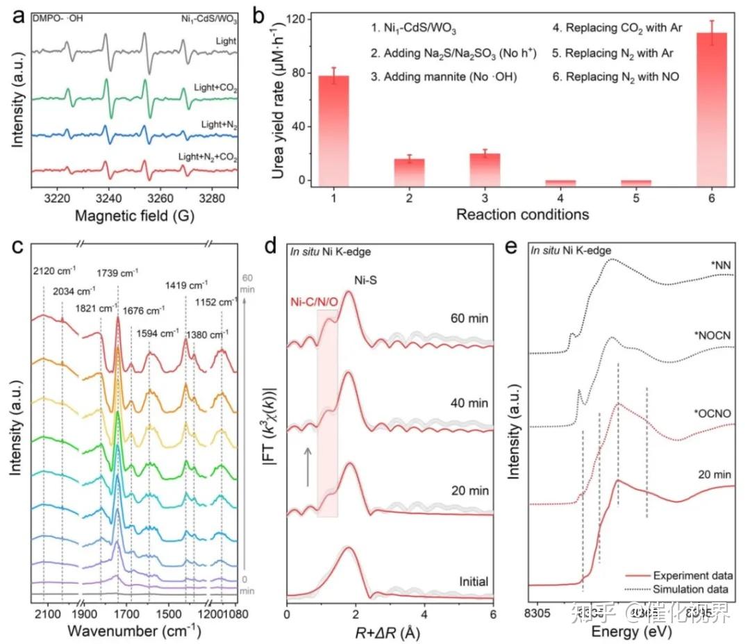中科大、清华大学Angew：光生电子和空穴协同作用实现高效光催化尿素合成 - 知乎
