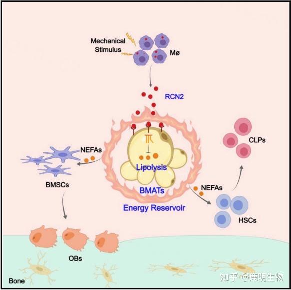 百篇单细胞测序领域文章集 - 知乎