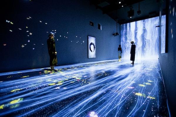 teamLab 的作品很美，却也很让人心碎 - 知乎