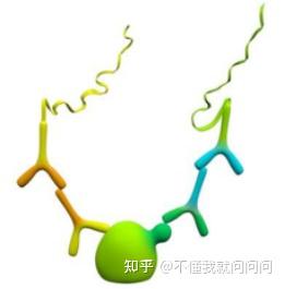 前沿速递 | 蛋白研究的未来之星 —— Duolink™ PLA®技术 - 知乎
