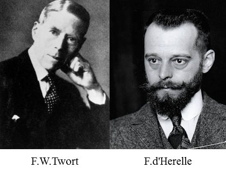 噬菌体的分类 - 知乎