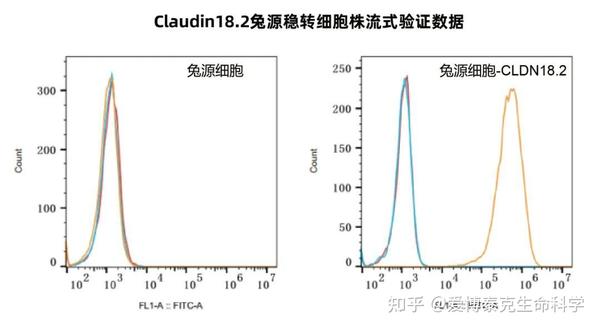 一支优秀的兔单克隆抗体是如何研发出来的？ 知乎
