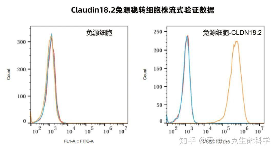一支优秀的兔单克隆抗体是如何研发出来的？ 知乎