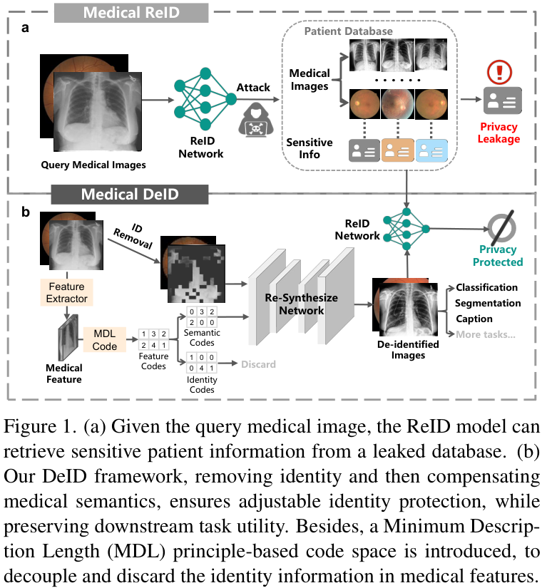 ICCV 2025 | 语义 vs. 身份：上海AI Lab提出“分而治之”新方法，实现可调节的医疗影像隐私保护 - 知乎