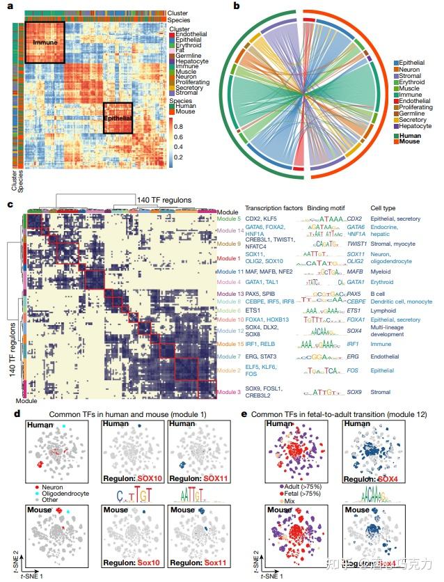 文献阅读| Construction of a human cell landscape at single-cell level - 知乎