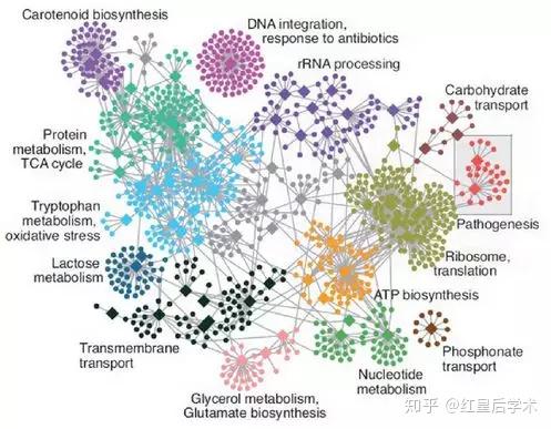 转录组测序技术和结果解读（十三）——WGCNA分析 - 知乎
