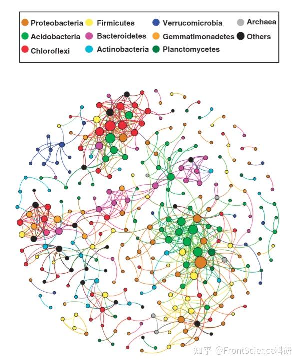 利用Gephi绘制高分网络图 - 知乎