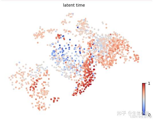 单细胞分析（16）—— RNA Velocity 分析流程 | RNA速率实操的干货内容 - 知乎