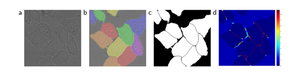[论文解读] U-Net: Convolutional Networks for Biomedical Image Segmentation ...