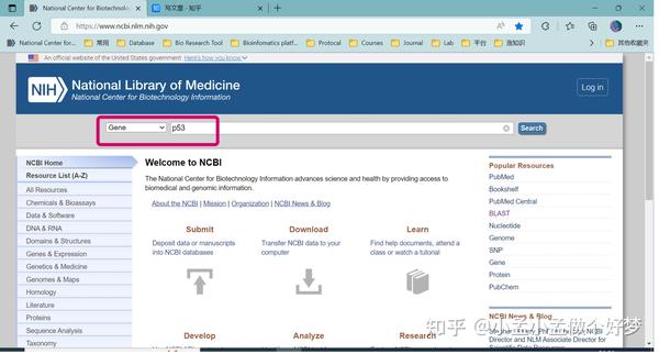 同源重组法构建质粒图谱 - 知乎