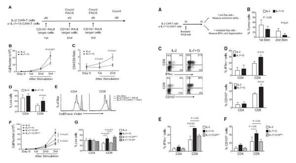 一文了解IL-2和IL-7 / IL-15对T细胞的影响 - 知乎