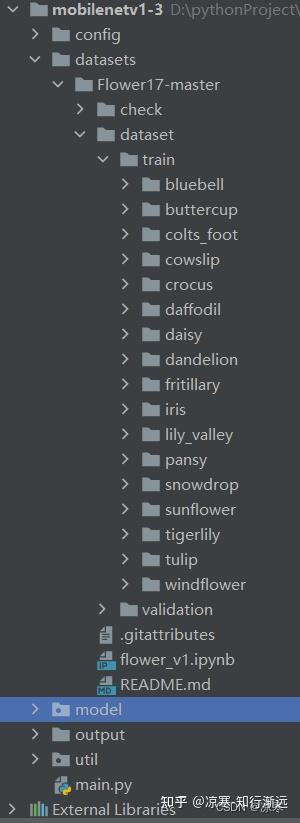 MobileNetV1-V3结构解读及代码解析 - 知乎