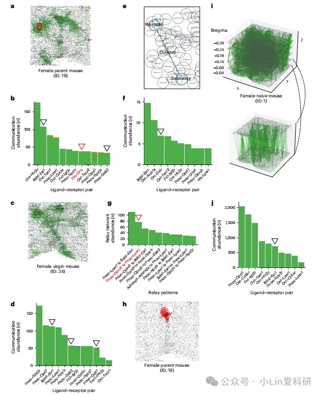 CellNEST让空间转录组数据开口说话，揭示细胞通讯的“多米诺骨牌”！IF=36!《Nature Methods》 - 知乎