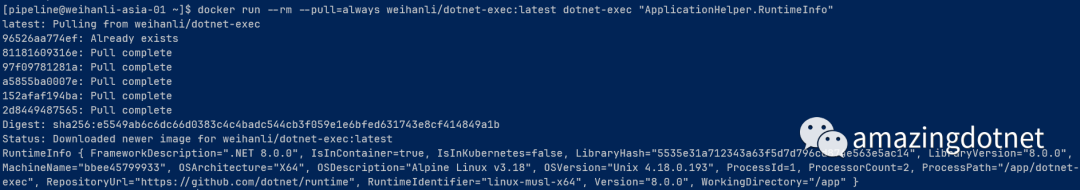 dotnet-exec 0.15.0 Released - 知乎