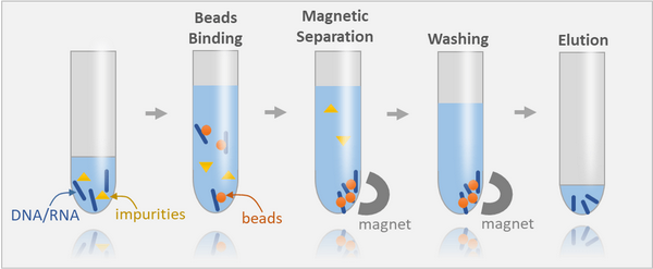Bead-Based Technology - 知乎