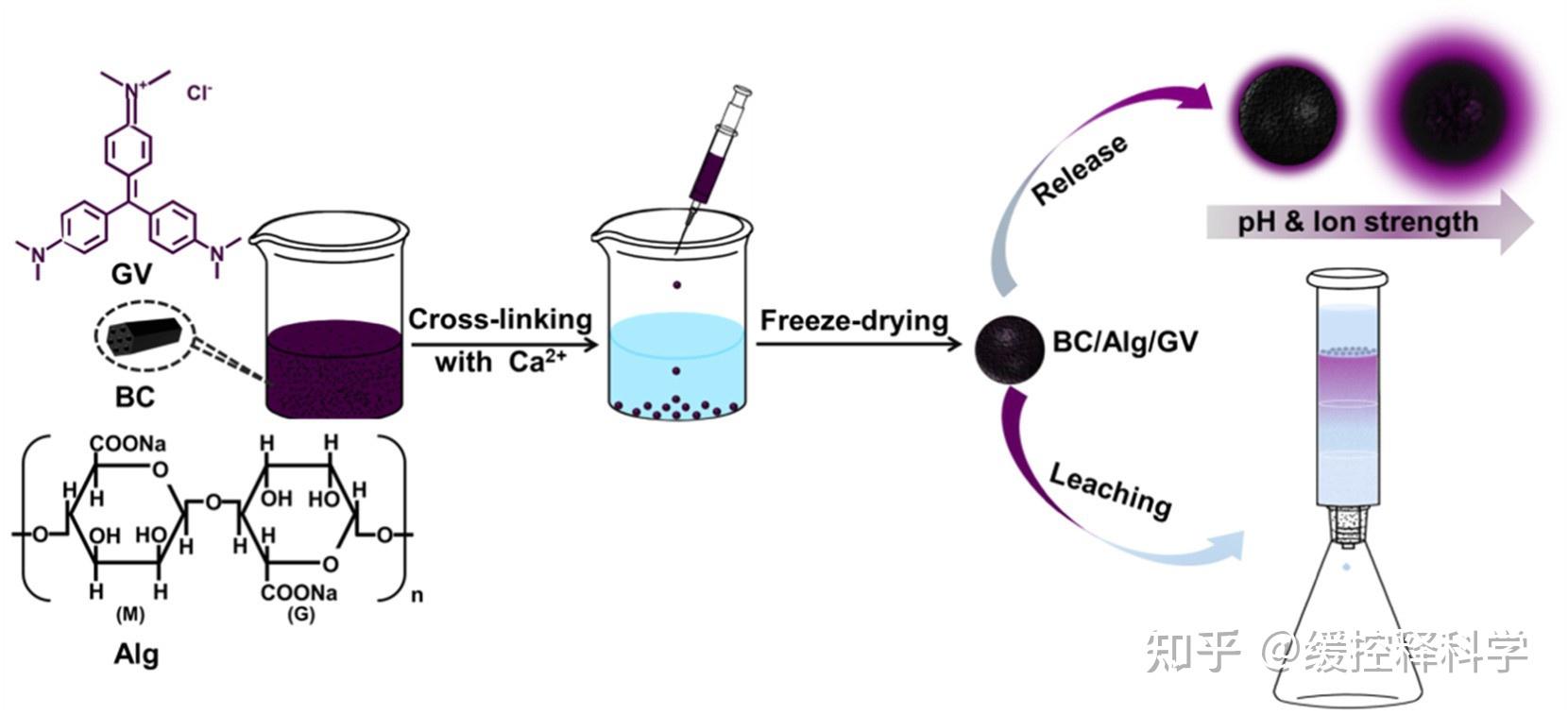 （42）中国科学院合肥物质科学研究院 吴正岩研究员: 刺激响应水凝胶作为载体控制亲水性农药的释放和浸出行为 - 知乎