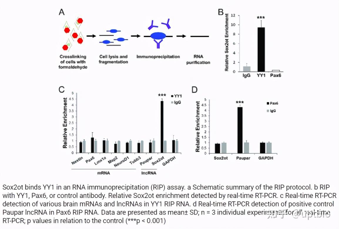【实用干货】新手入门：CHIP、RIP、CoIP技术科普 - 知乎