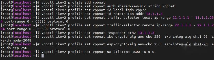 VPP配置指南：穿越NAT的IPsec VPN配置及性能测试 - 知乎