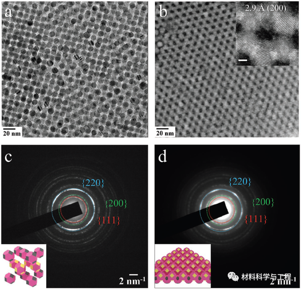 华南师大《Small》：有序结构量子点超晶格应用于提升光电探测性能 - 知乎