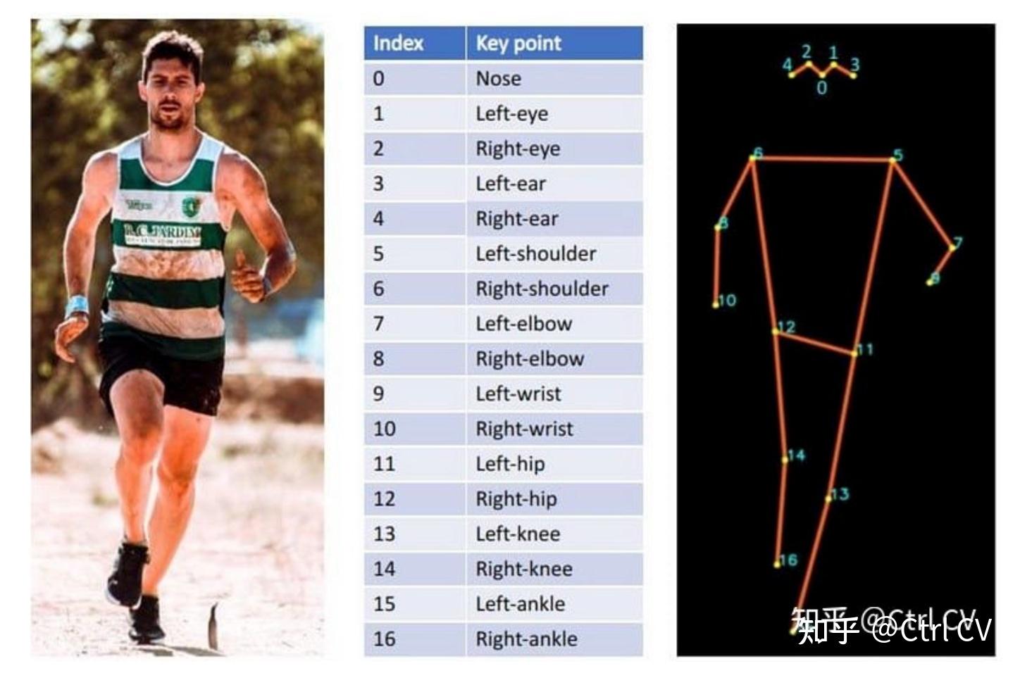yolov7 pose 跌倒检测 - 知乎