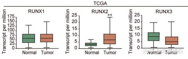 乳腺癌的发生与骨转移癌---- 解析RUNX2/NuRD(MTA1)/CRL4B复合体的作用机制 - 知乎