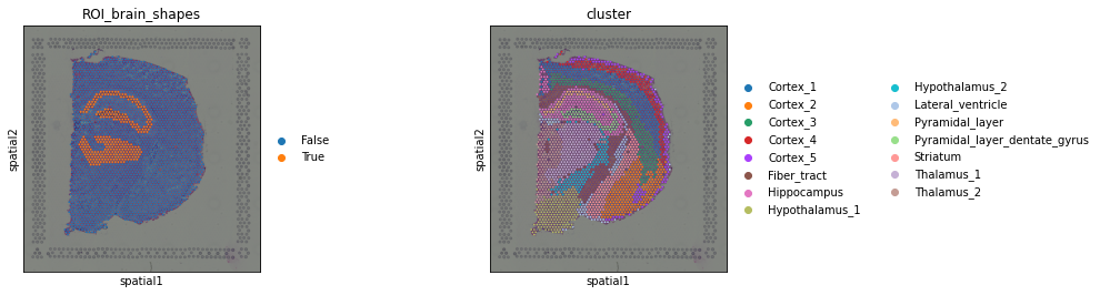 squidpy 教程 3：使用 Napari 进行交互式可视化 - 知乎