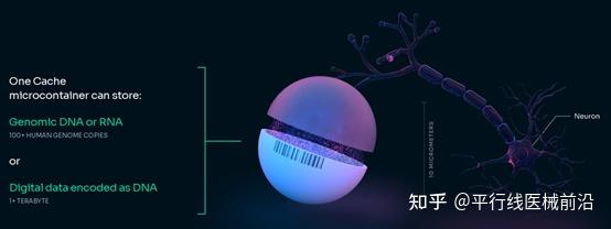 万字长文：新一代DNA合成与DNA存储22家公司深度解析，挖掘未来合成生物学独角兽 - 知乎