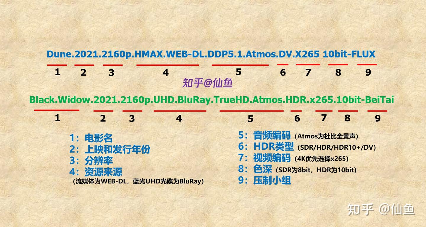 HDR10/HLG/HDR10+/杜比视界？一篇文章搞懂所有HDR格式 - 知乎