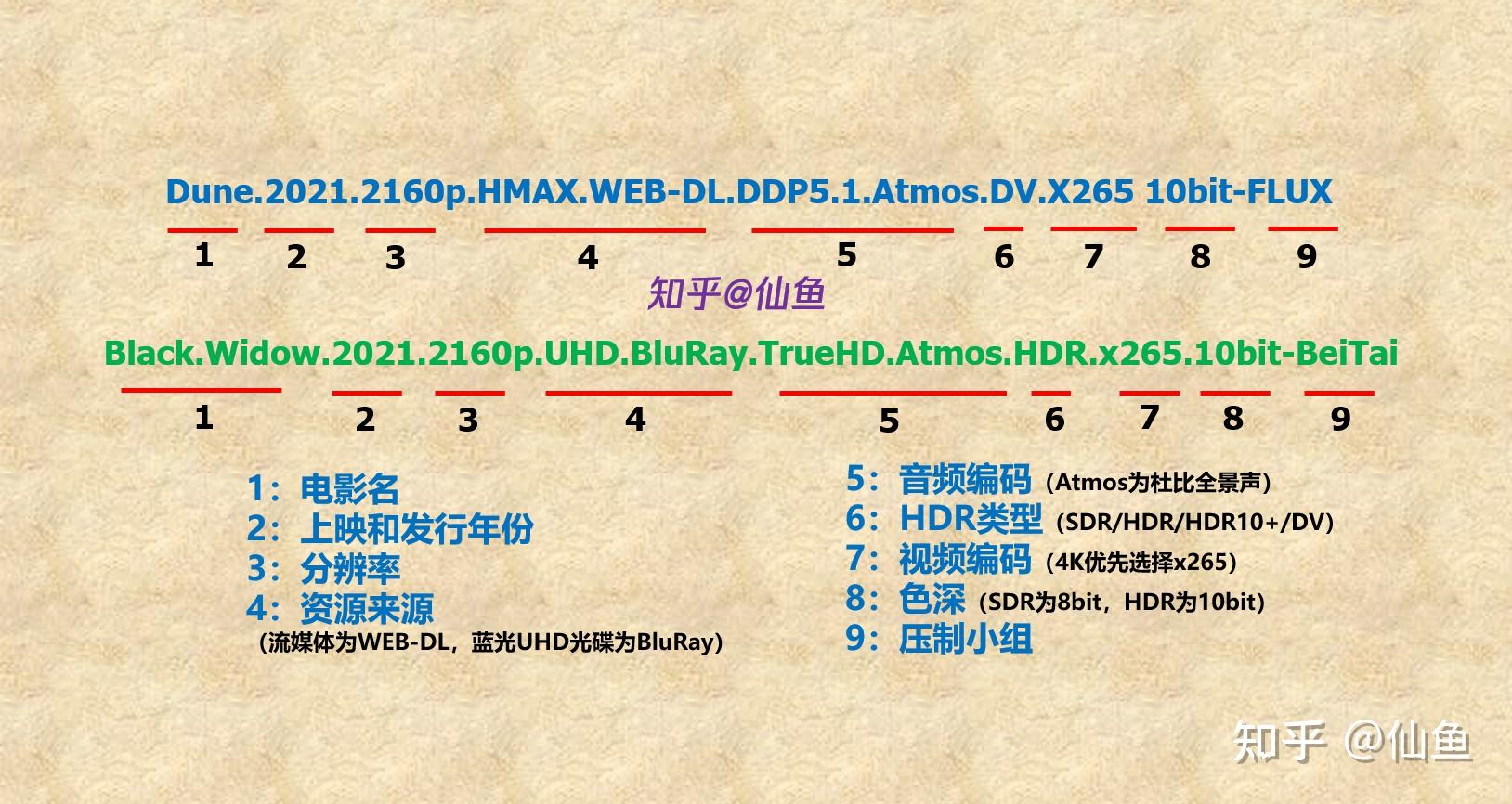 HDR10/HLG/HDR10+/杜比视界？一篇文章搞懂所有HDR格式 - 知乎