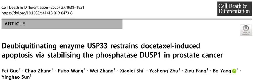 去泛素化酶 USP33 通过稳定前列腺癌中的磷酸酶 DUSP1 抑制多烯紫杉醇诱导的细胞凋亡 - 知乎