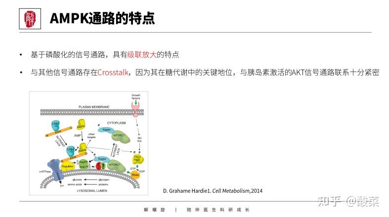 1条就是1篇SCI！带你研究12条信号通路，NF-κB、MAPK、AKT、PI3K…… - 知乎
