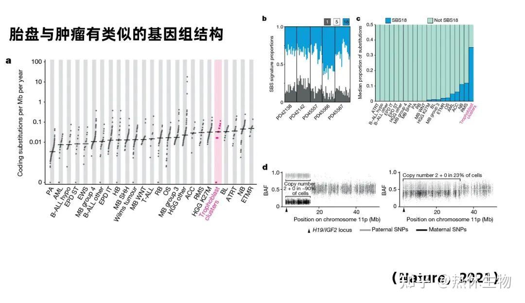 自体肿瘤中提取gp96与胎盘提取gp96的区别 - 知乎