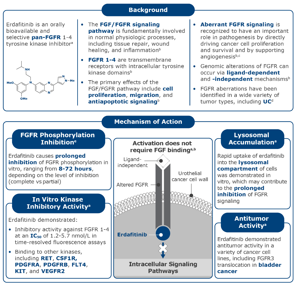95--CCND1,FGF19,FGF3,FGF4共突变胃癌 - 知乎