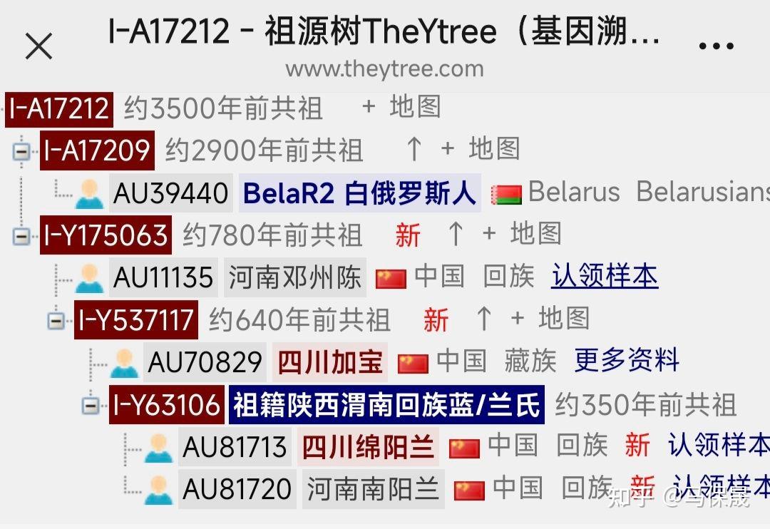 I1a-Y175063： 从莱茵河到黄河 ---- 从金堡矿工到渭南回族、迭部藏族 - 知乎