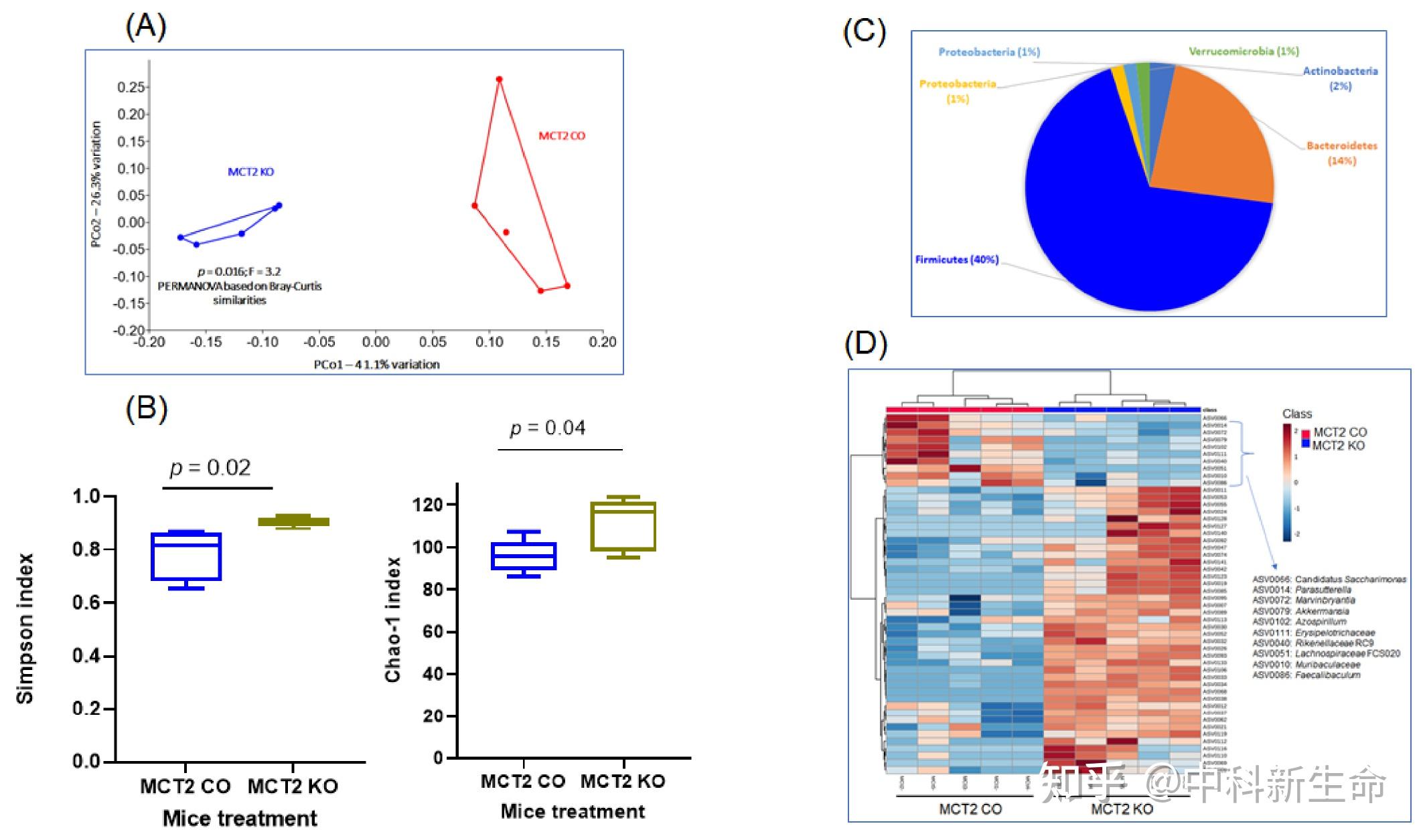 Int J Mol Sci｜多组学揭示MCT2限制肺癌小鼠模型中的肿瘤生长 - 知乎