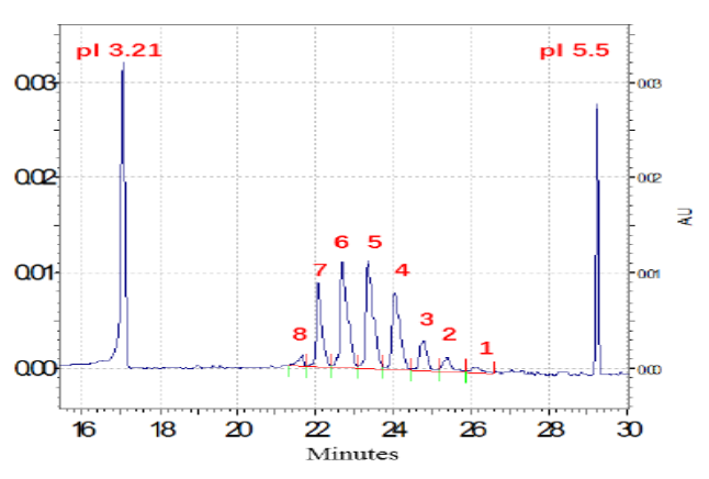 几种热点重组蛋白药物的异质性检测 - 知乎
