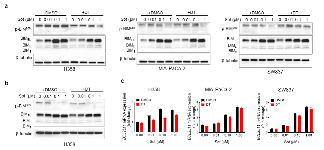 BCL-XL PROTAC降解物DT2216在KRASG12C突变的癌症临床前模型中与sotorasib协同作用 - 知乎