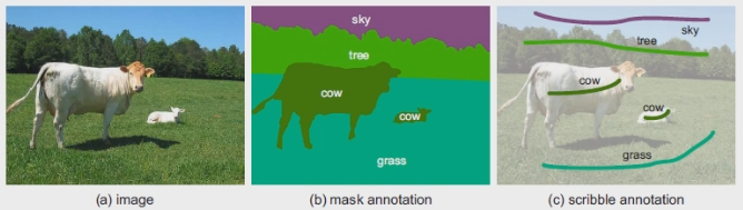Scribble-Supervised CN for Semantic Segmentation - 知乎