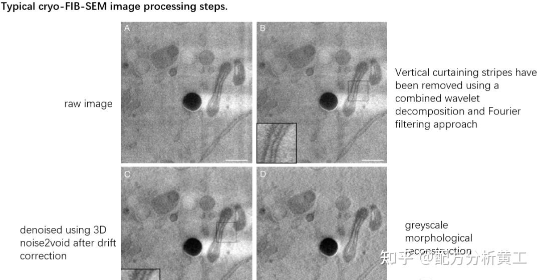扫描电镜成像技术（Cryo-FIB-SEM）研究进展 - 知乎